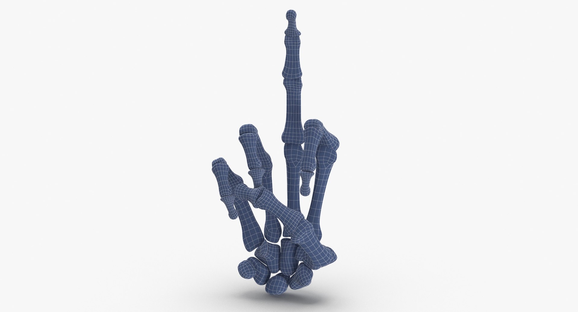 3D Human Hand Bones Middle Model - TurboSquid 1608859