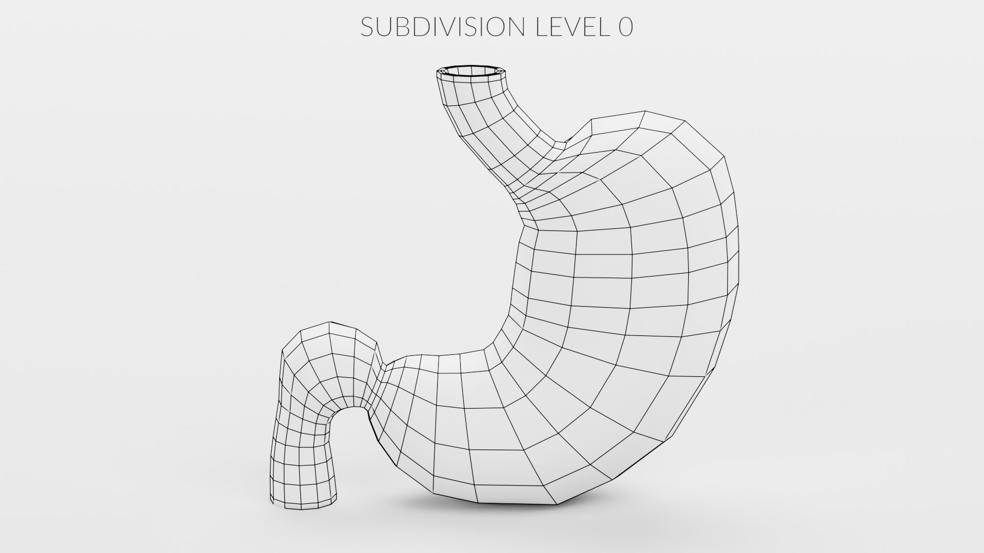 3D Stomach - TurboSquid 1752299