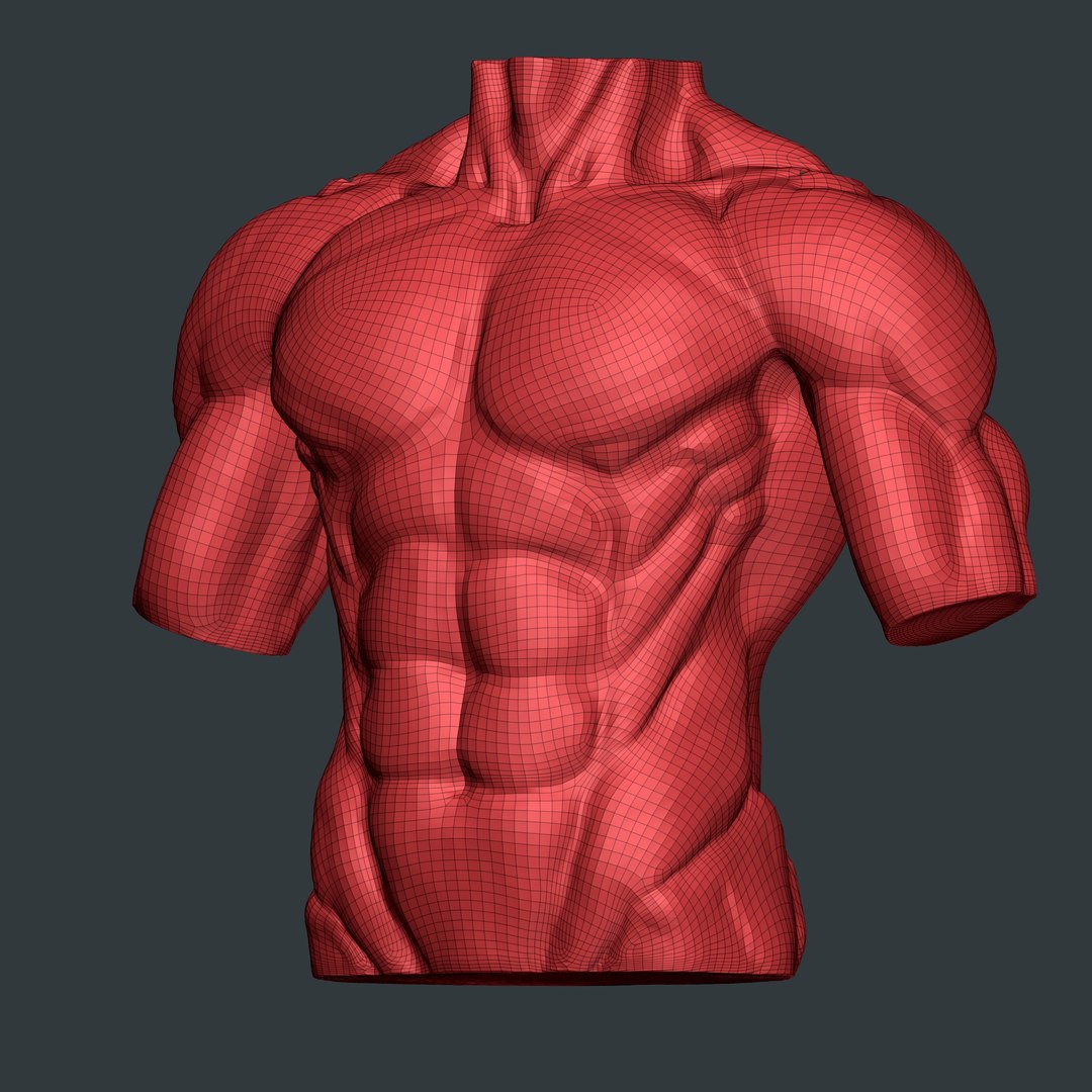 Human Torso 3D Model - TurboSquid 2195063