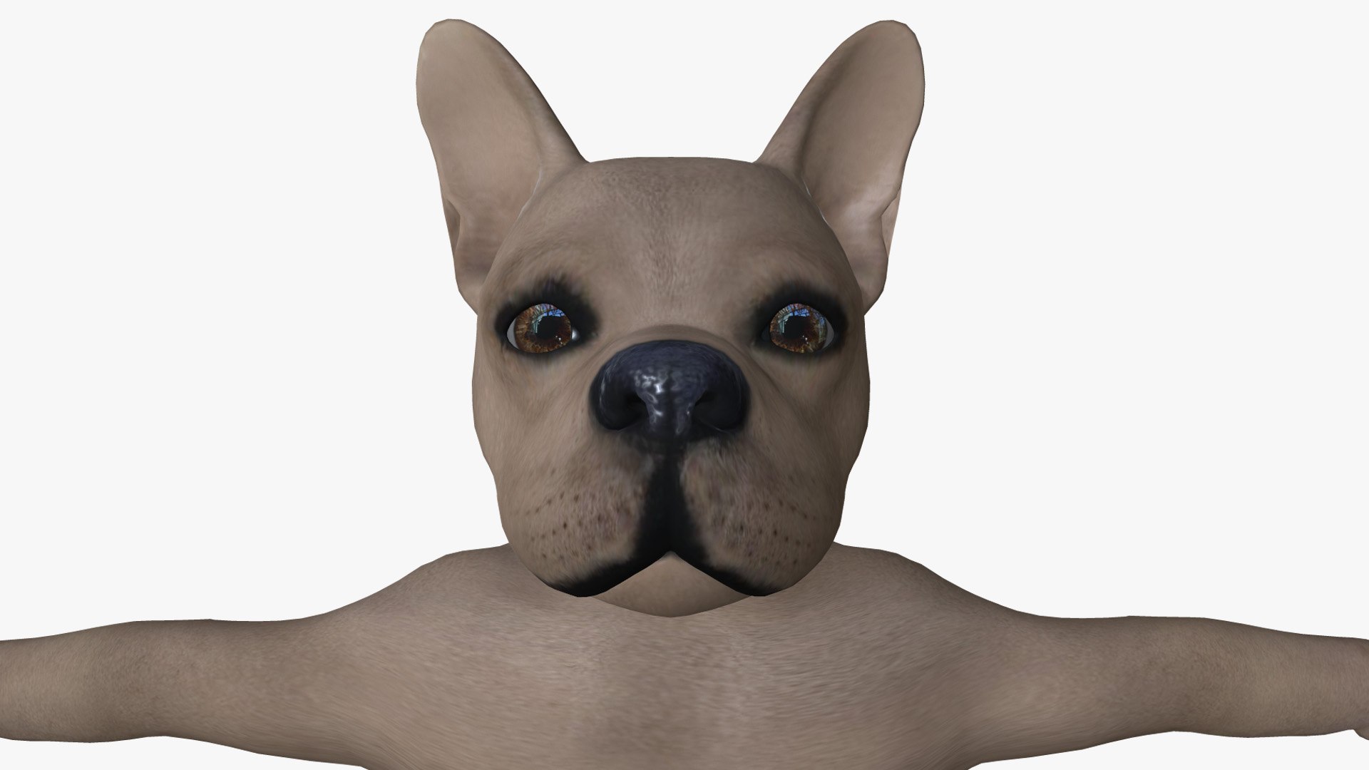 3D HBL-001 Rigged Dog - TurboSquid 2075655