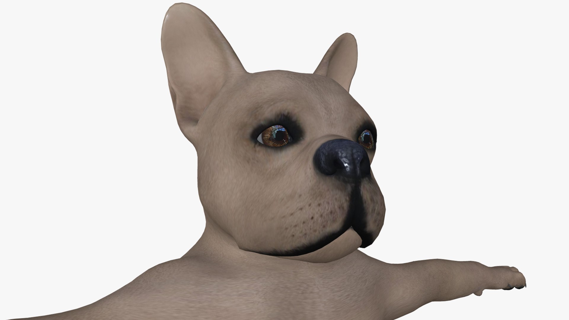 3D HBL-001 Rigged Dog - TurboSquid 2075655