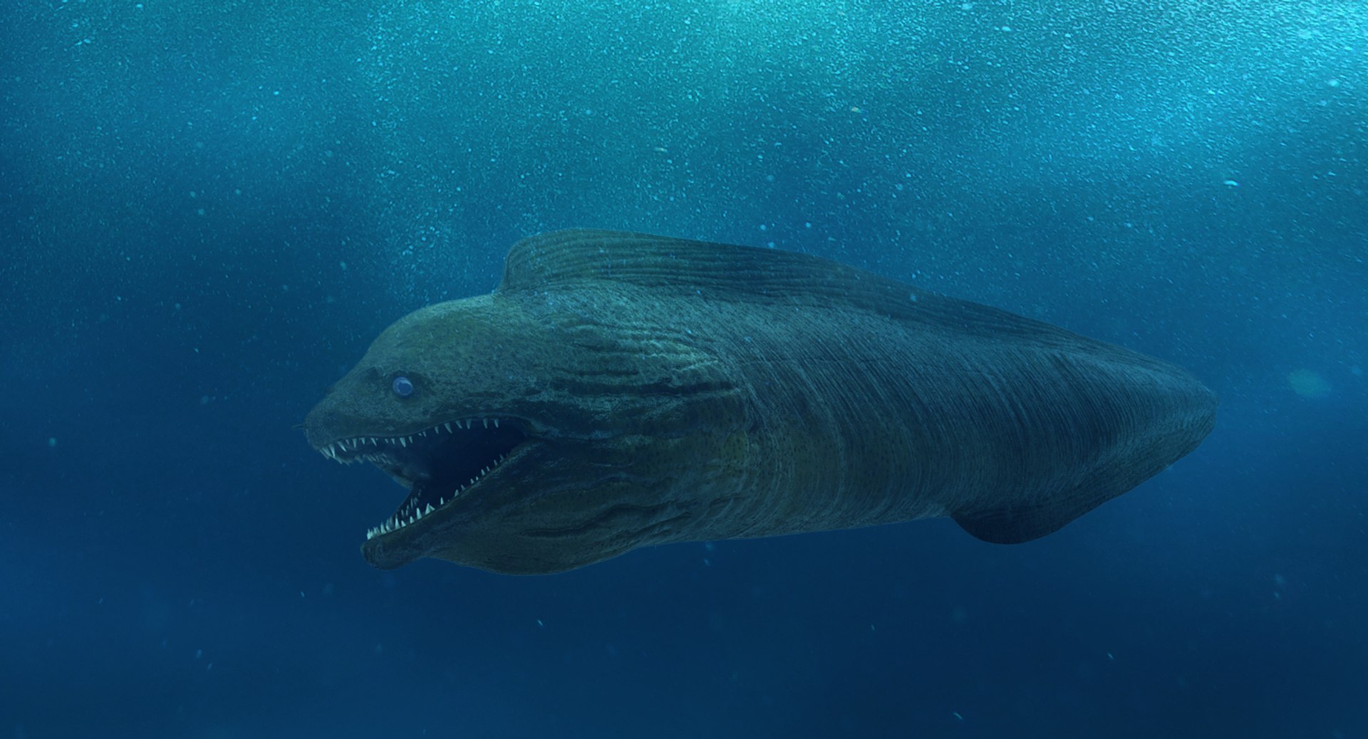 3d Model Murena Rigged