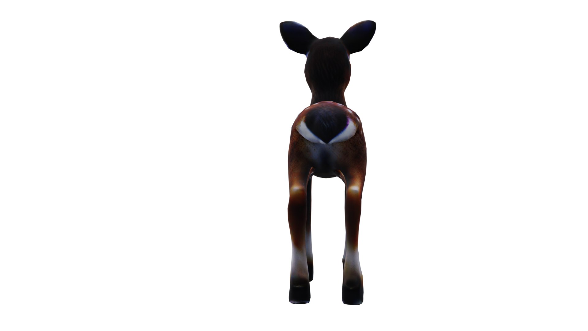 Fawn Low Poly 3D Model - TurboSquid 2208005