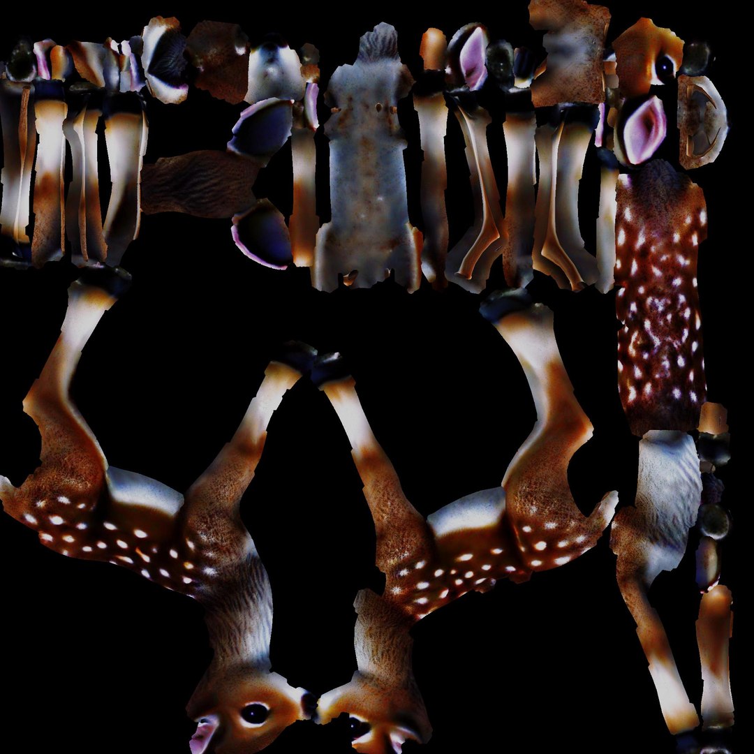 Fawn Low Poly 3D Model - TurboSquid 2208005