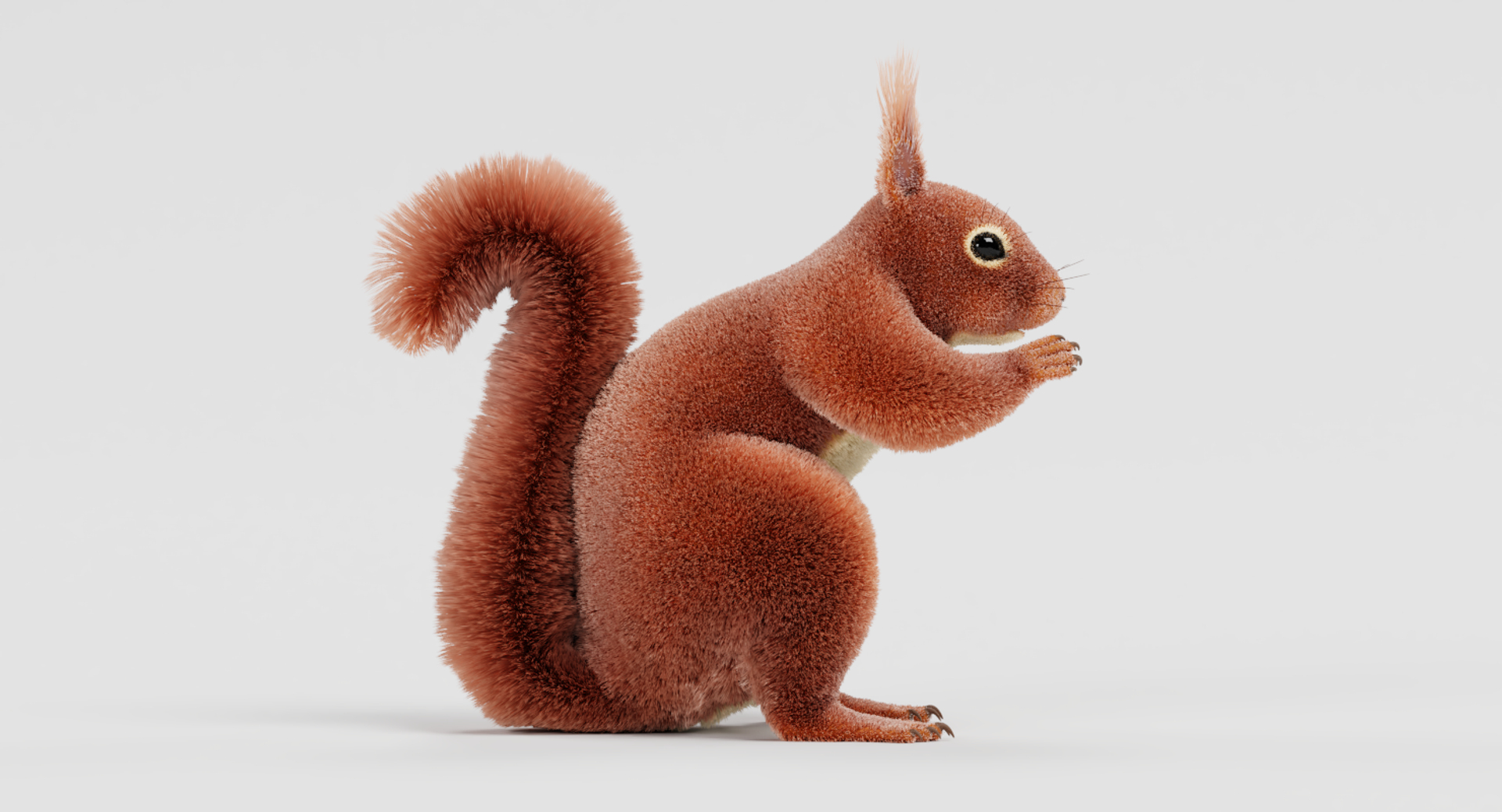 American Squirrel 3D Model - TurboSquid 1277598