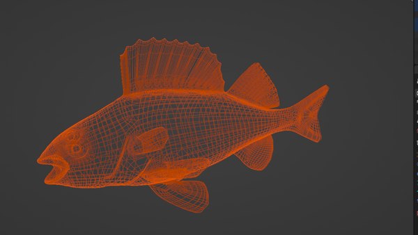 3D model fish rigged - TurboSquid 1826657