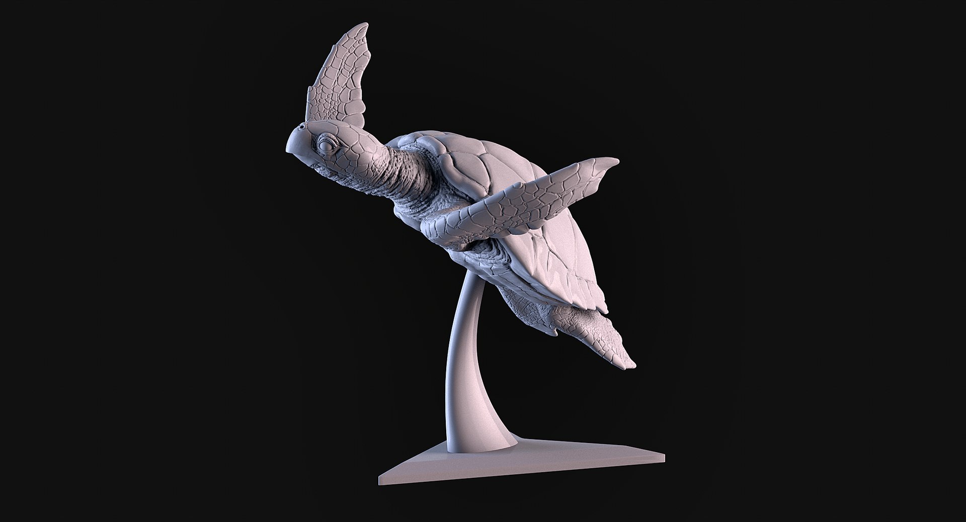 3D Turtle Model - TurboSquid 1894198