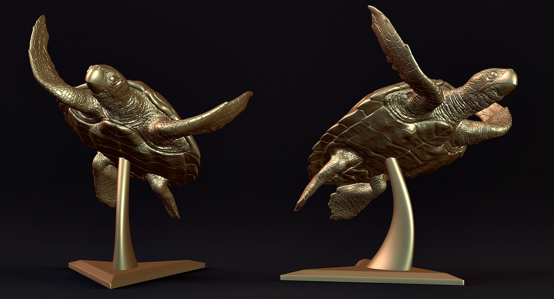 3D Turtle Model - TurboSquid 1894198