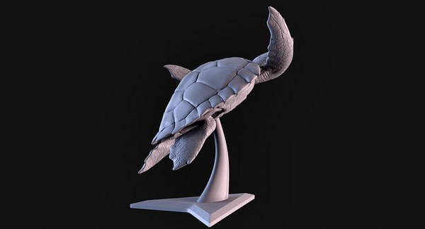 modelo 3d Tortuga - TurboSquid 1894198
