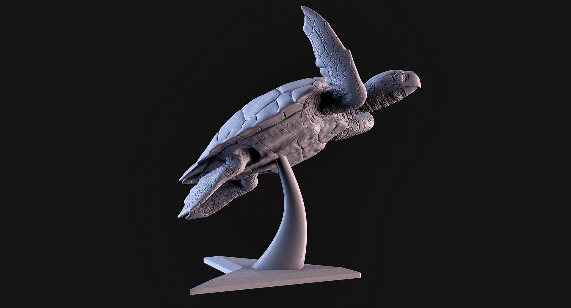 3D Turtle Model - TurboSquid 1894198