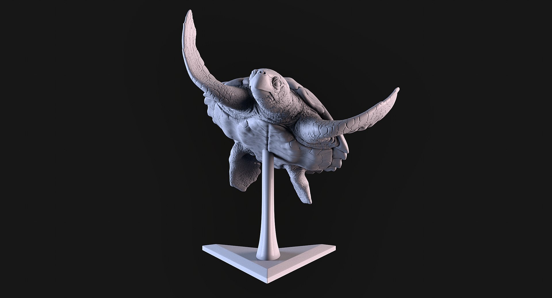 3D Turtle Model - TurboSquid 1894198