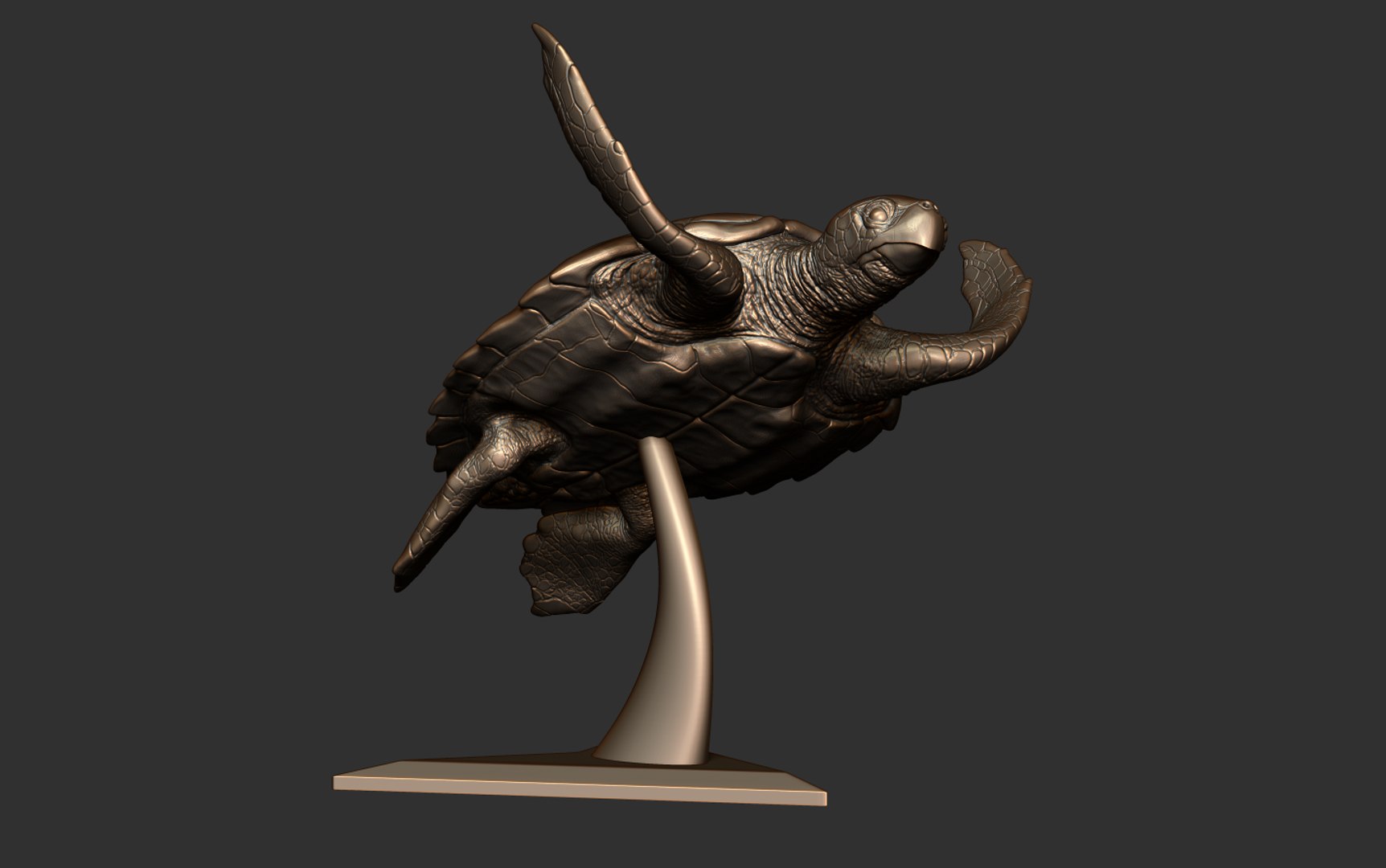3D Turtle Model - TurboSquid 1894198
