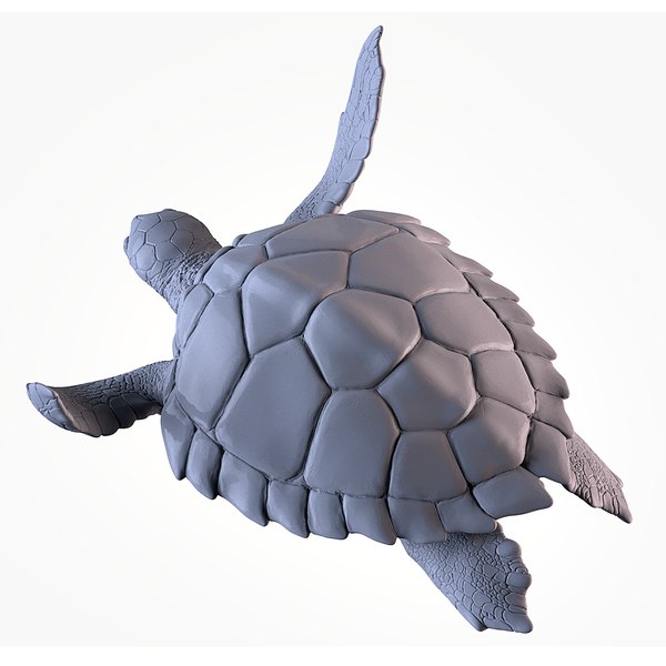 Sea Turtle 3D Models for Download | TurboSquid