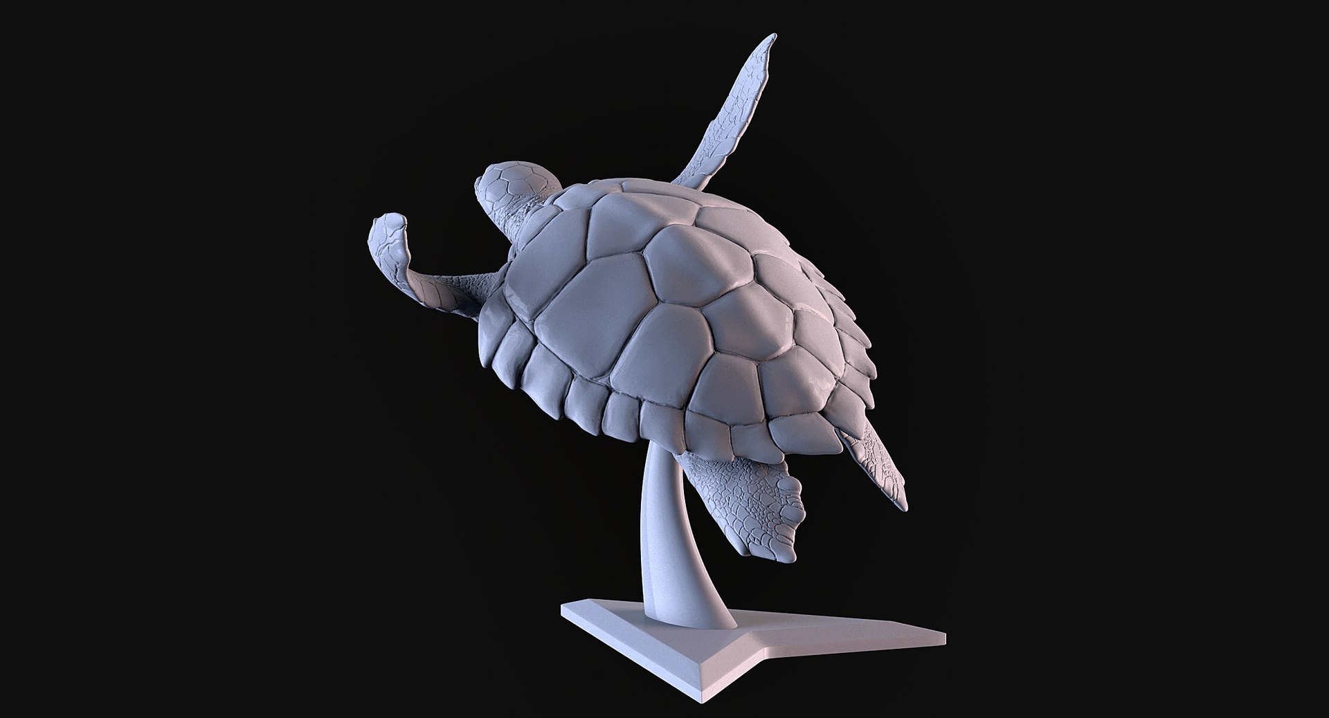 3D Turtle Model - TurboSquid 1894198