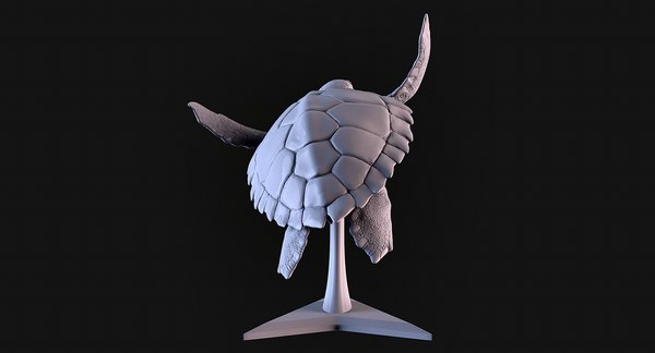 modelo 3d Tortuga - TurboSquid 1894198