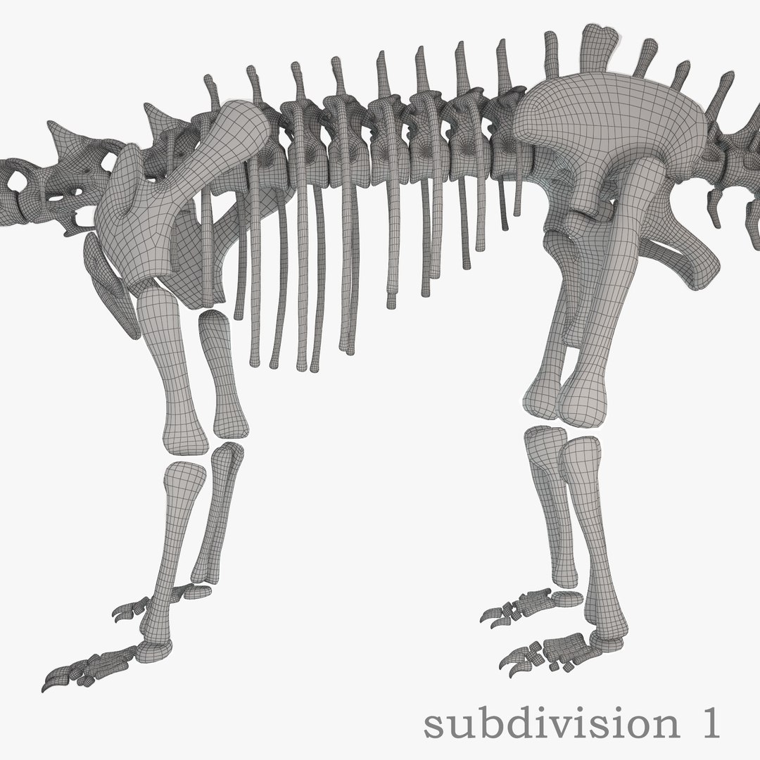 Diplodocus skeleton 3D - TurboSquid 1165511