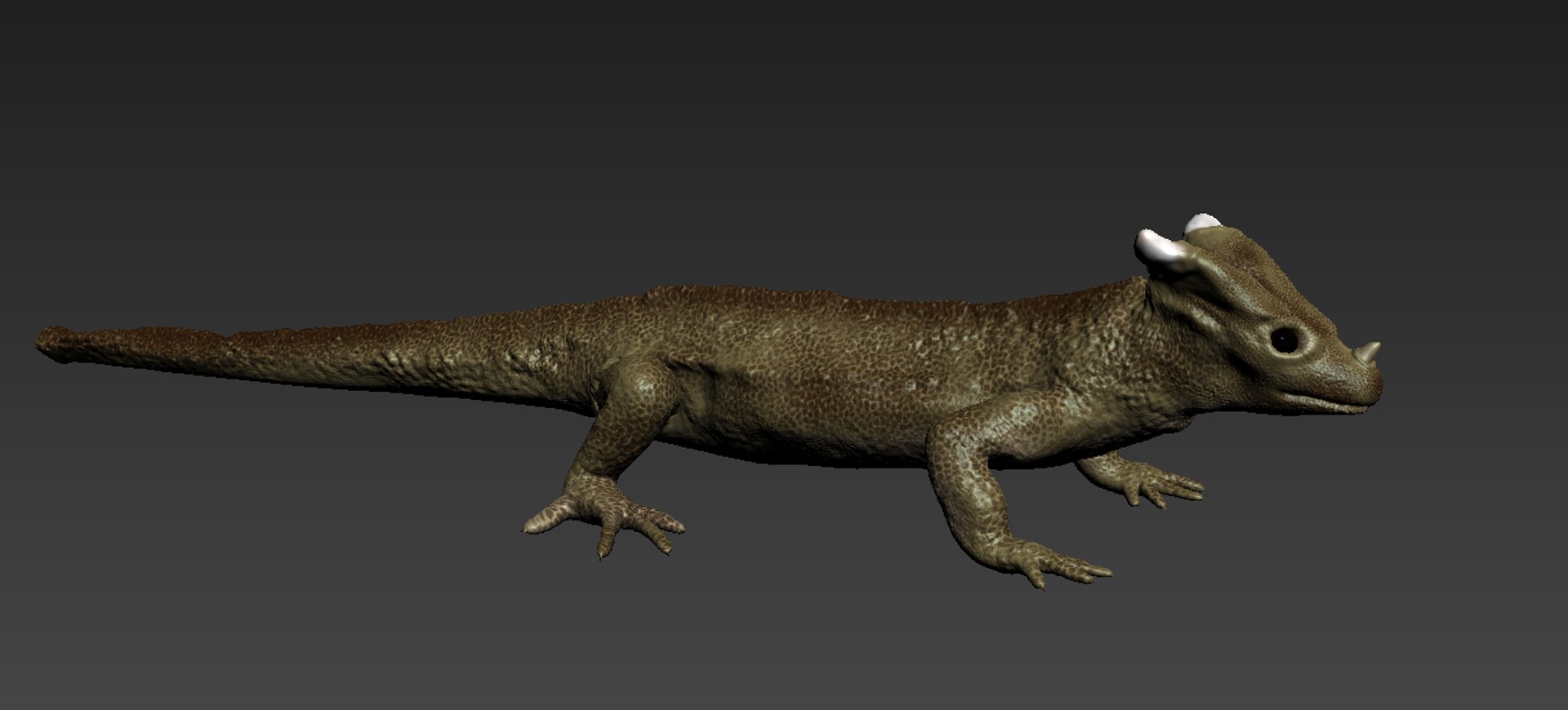 3d Reptiles Lizard Horned Model