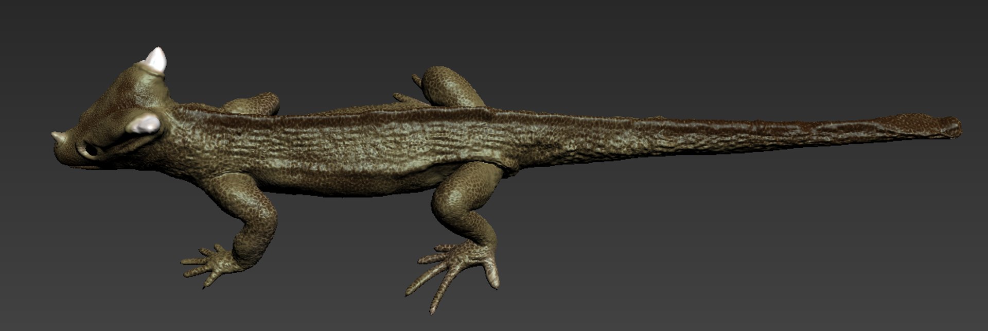 3d Reptiles Lizard Horned Model