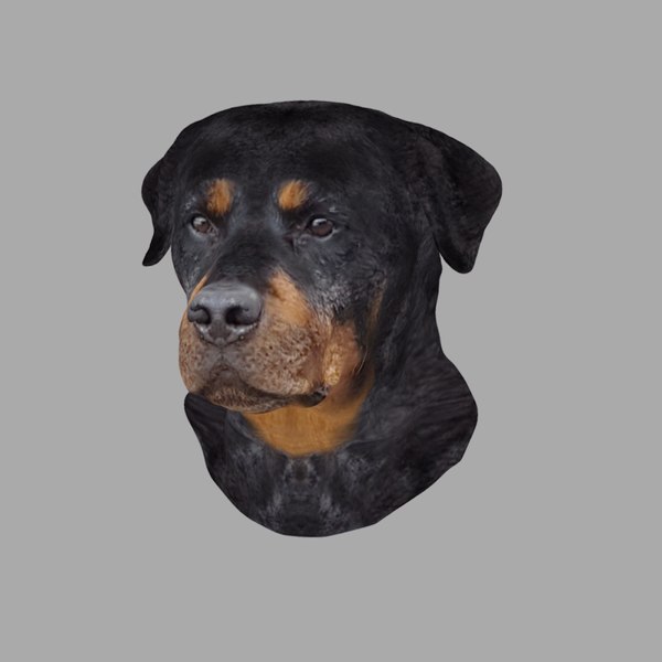 3D rottweiler dog - TurboSquid 1380772