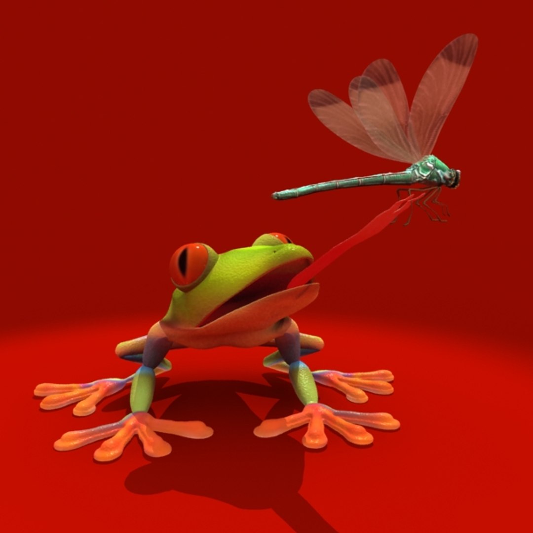maya frog dragon fly