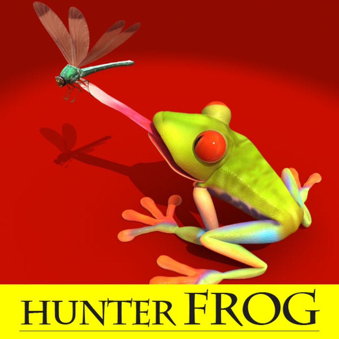 maya frog dragon fly