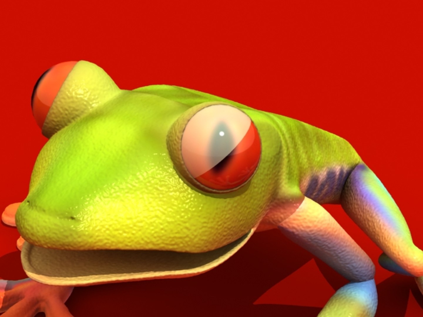 maya frog dragon fly