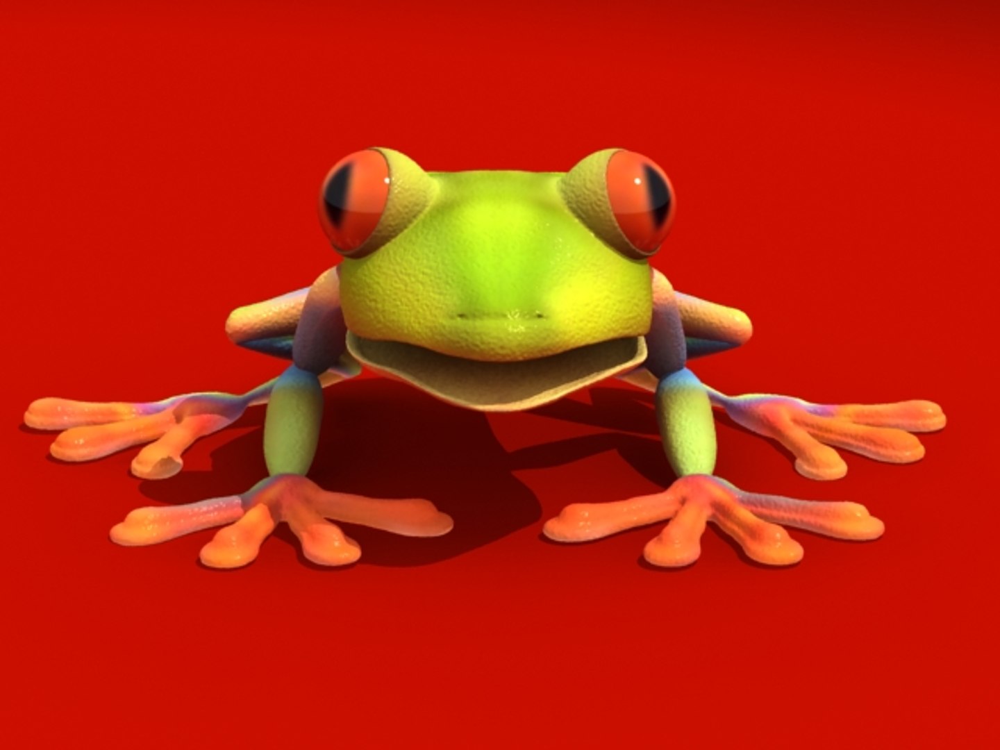 maya frog dragon fly