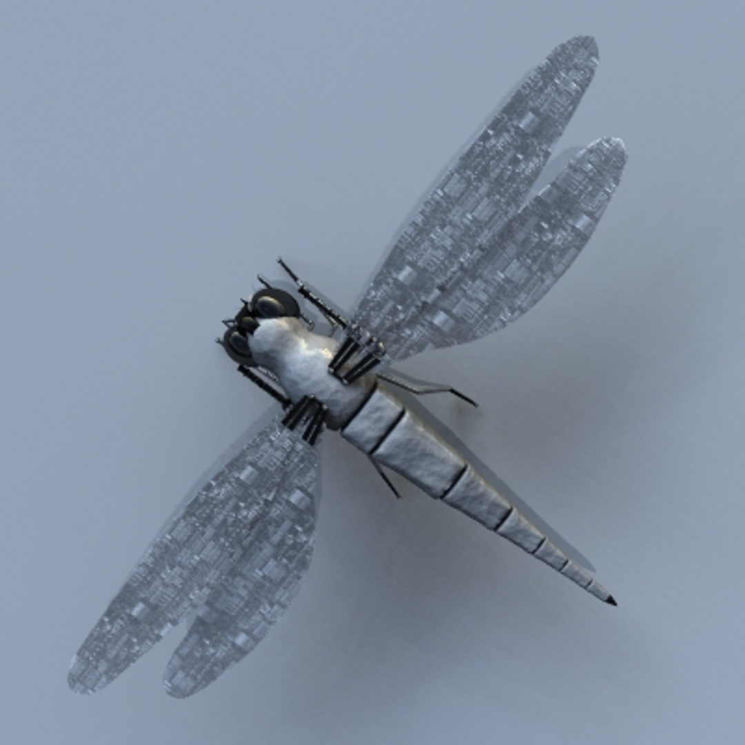 3ds max robotic dragonfly