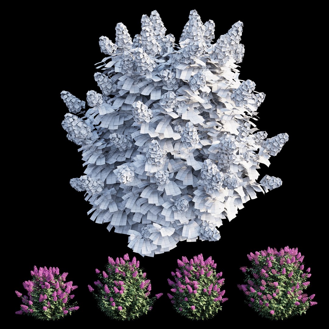 Dwarf Tree Model - TurboSquid 1607316