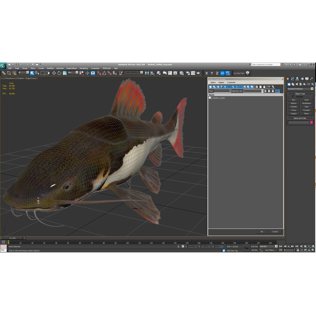 3d Model Redtail Catfish