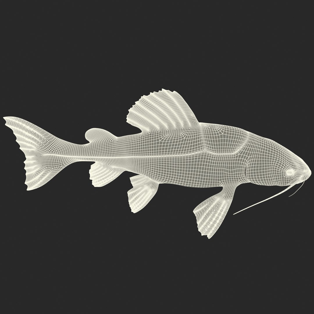 3d model redtail catfish