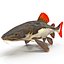3d Model Redtail Catfish