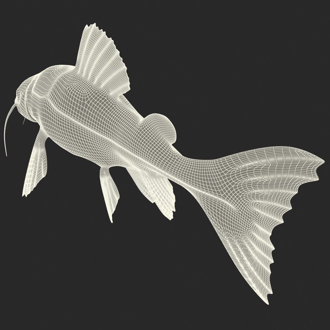 3d model redtail catfish