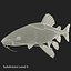 3d Model Redtail Catfish