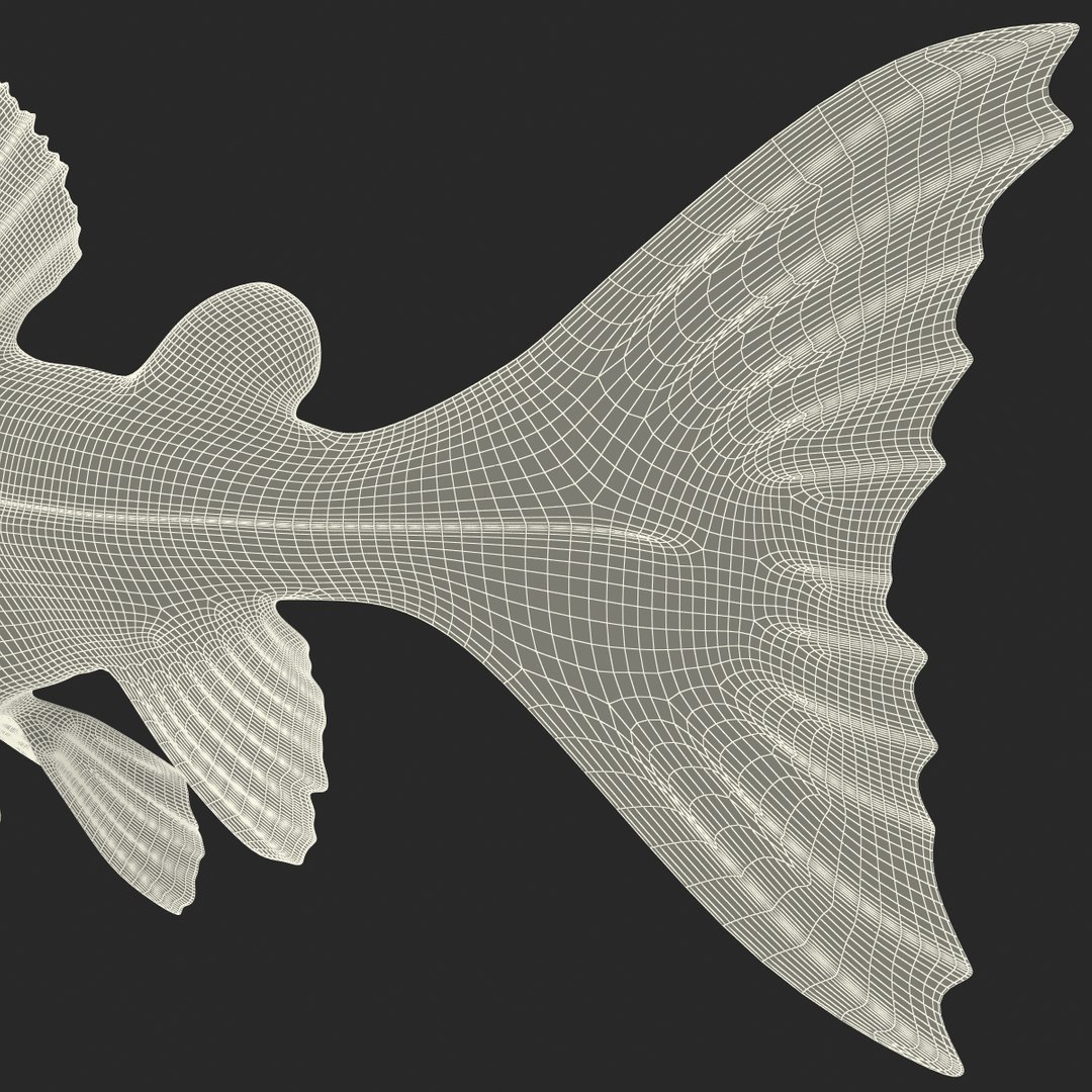 3d model redtail catfish