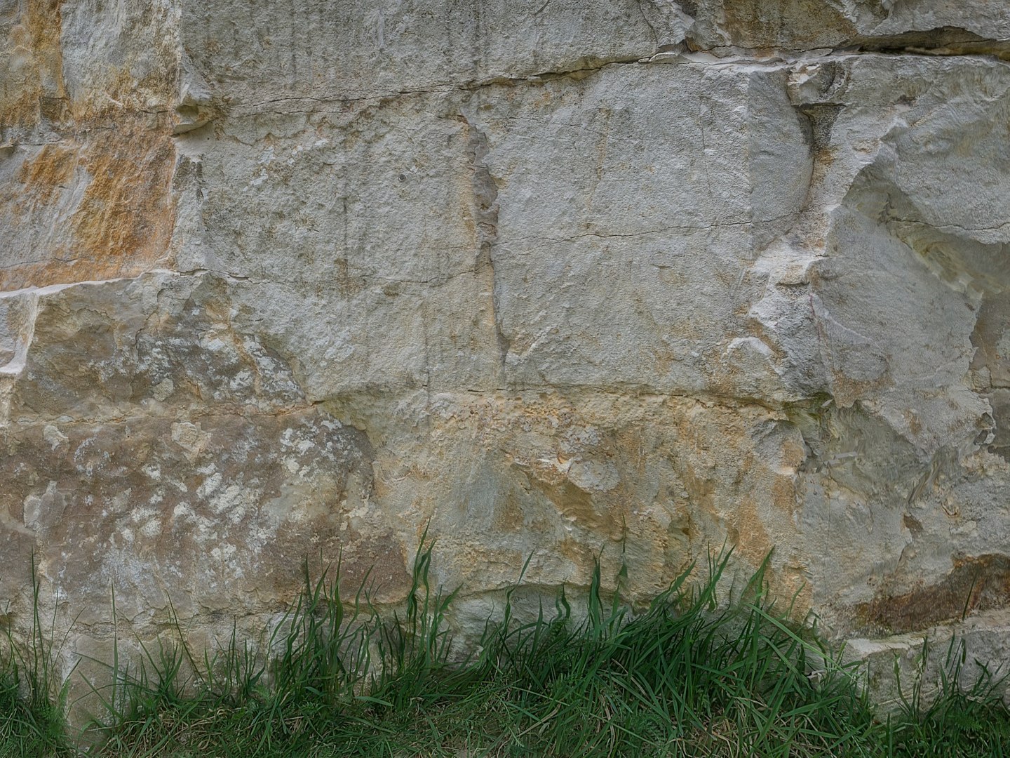 Maya Jurassic Rock Scanned 8k
