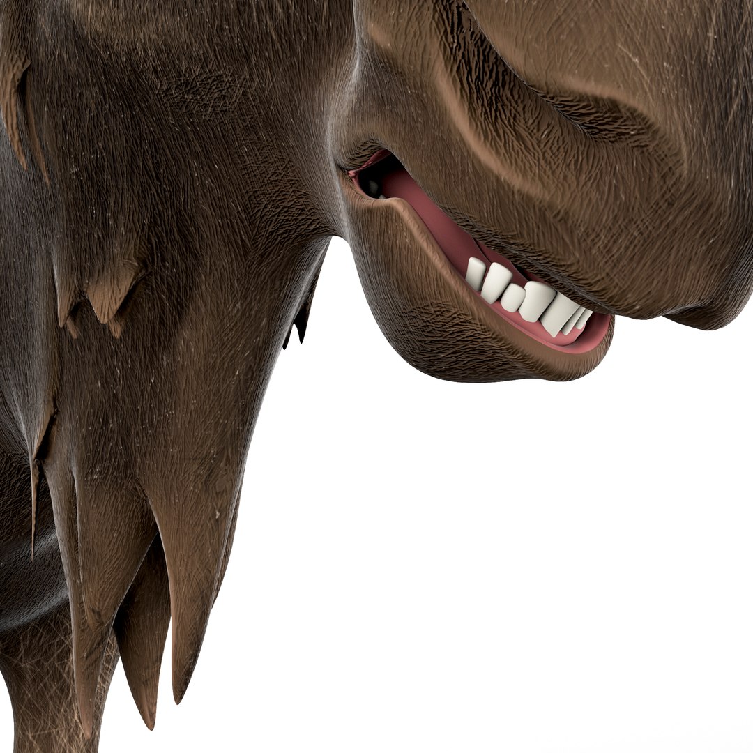 Moose cartoon rigged 3D model - TurboSquid 1654038