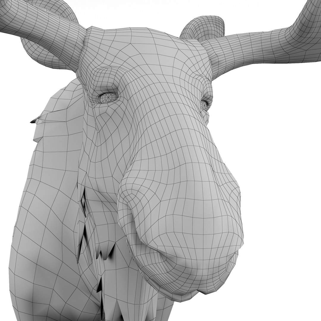 Moose cartoon rigged 3D model - TurboSquid 1654038