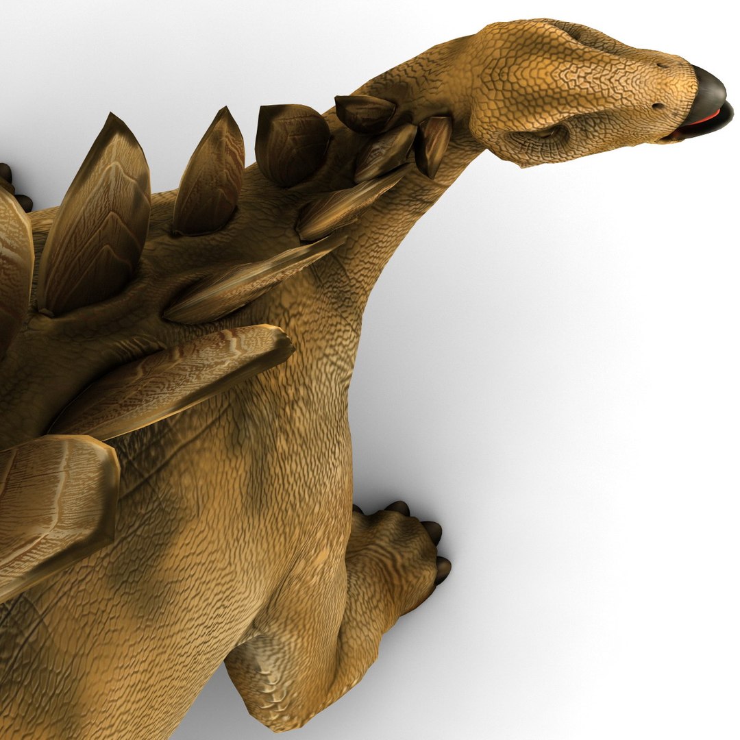 stegosaurus pose 2 3d model