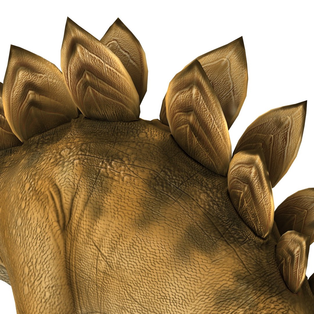 stegosaurus pose 2 3d model