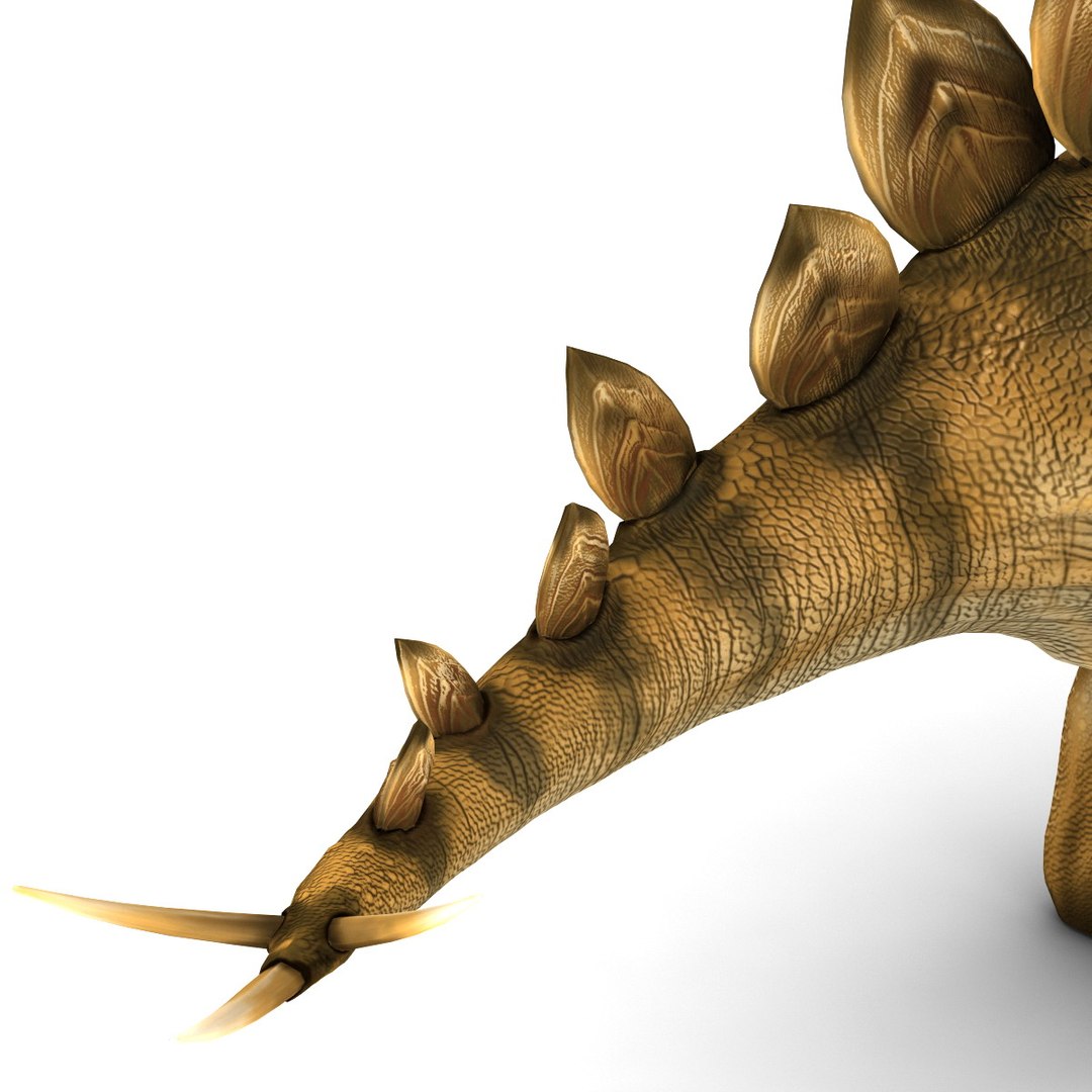 stegosaurus pose 2 3d model