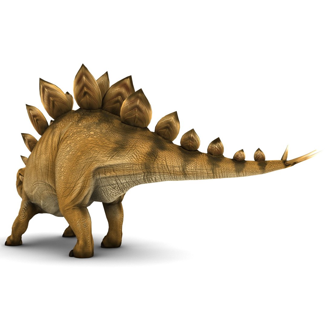 stegosaurus pose 2 3d model