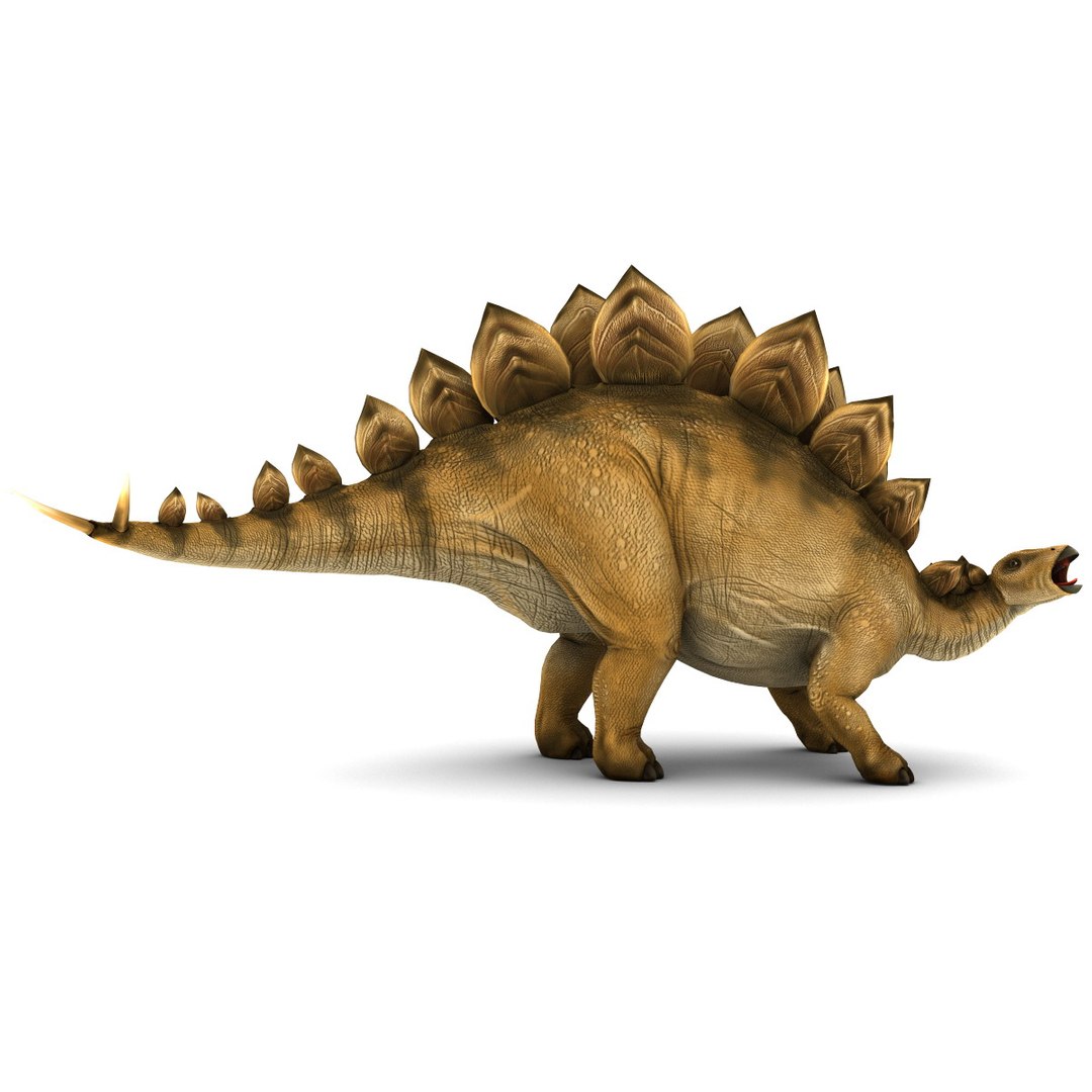 stegosaurus pose 2 3d model