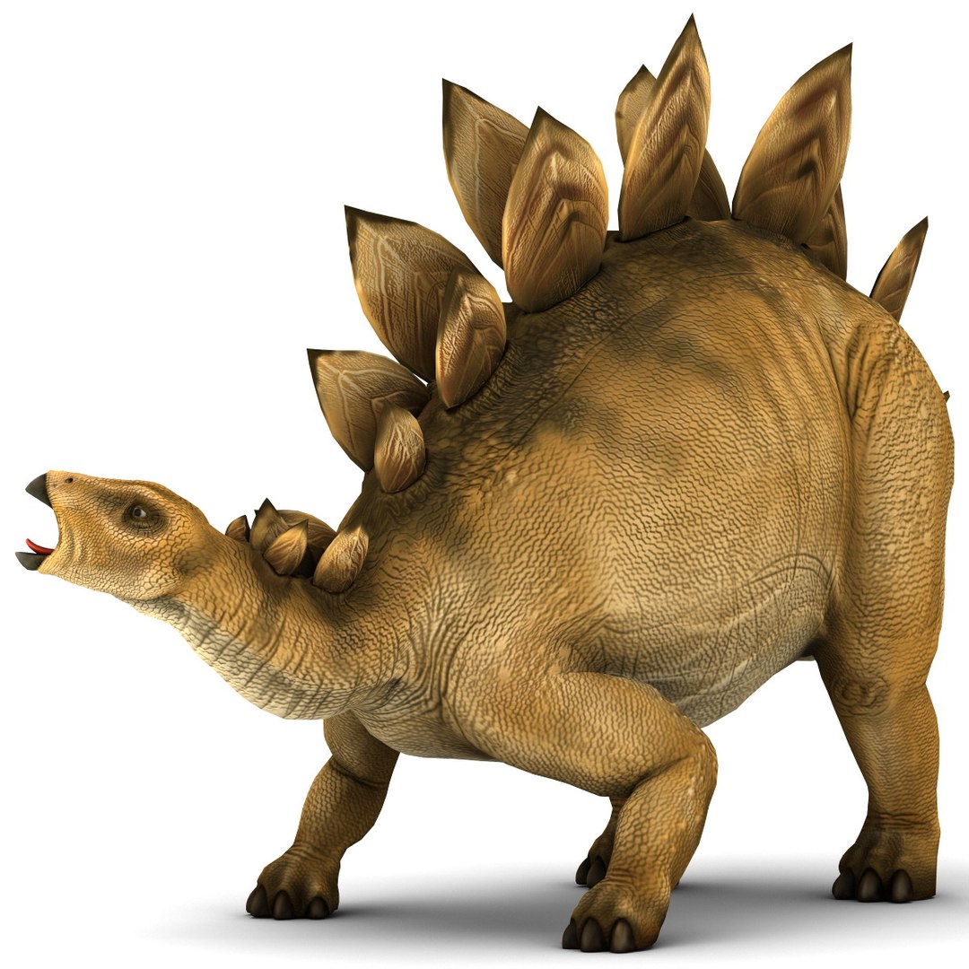 stegosaurus pose 2 3d model