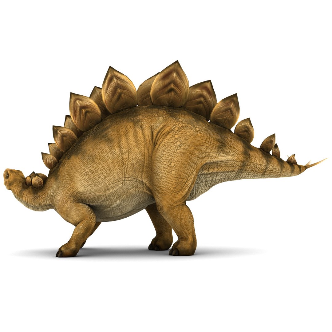 stegosaurus pose 2 3d model