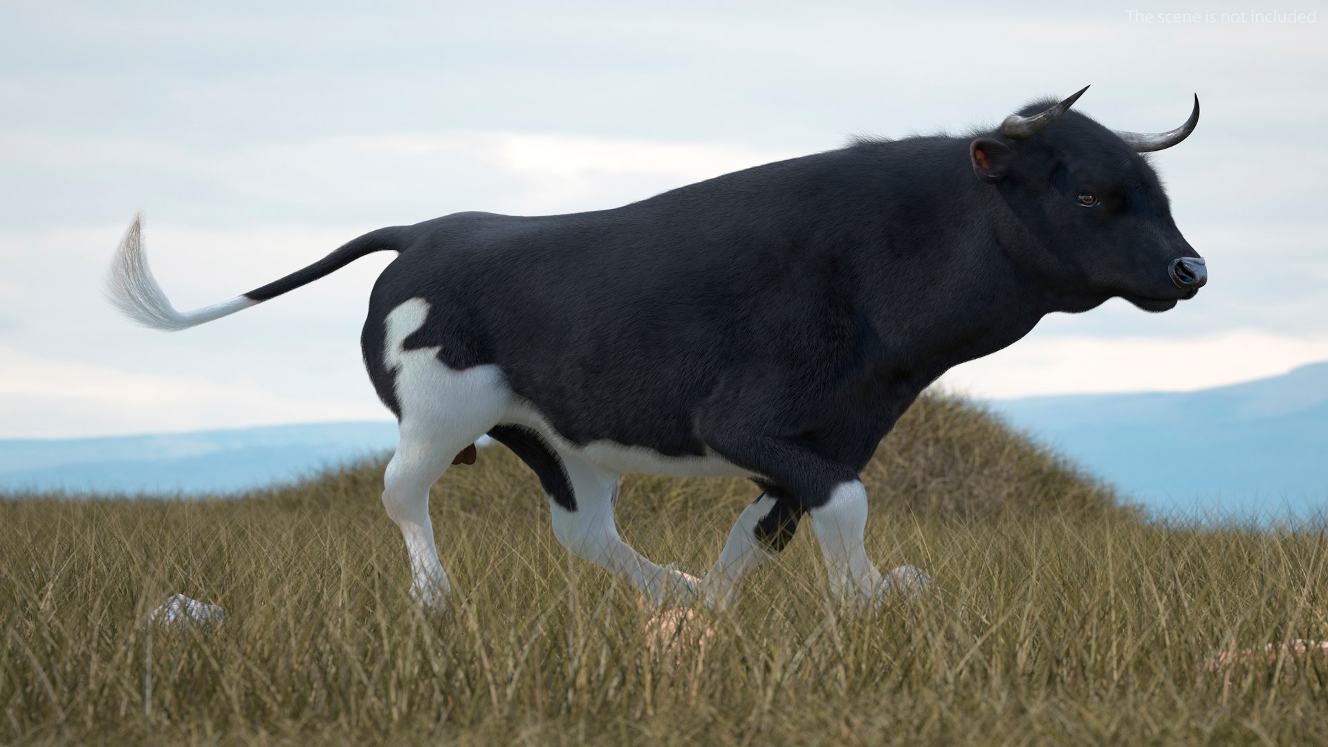 Black Bull Fur Rigged 3D model - TurboSquid 1984592