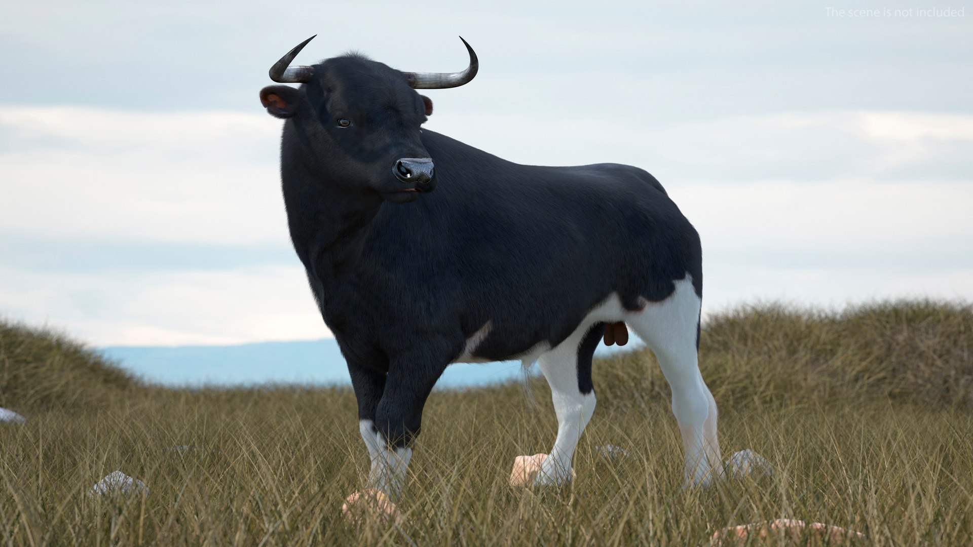 Black Bull Fur Rigged 3D model - TurboSquid 1984592