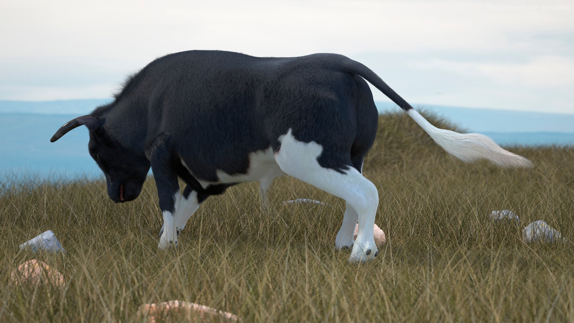 Black Bull Fur Rigged 3D model - TurboSquid 1984592