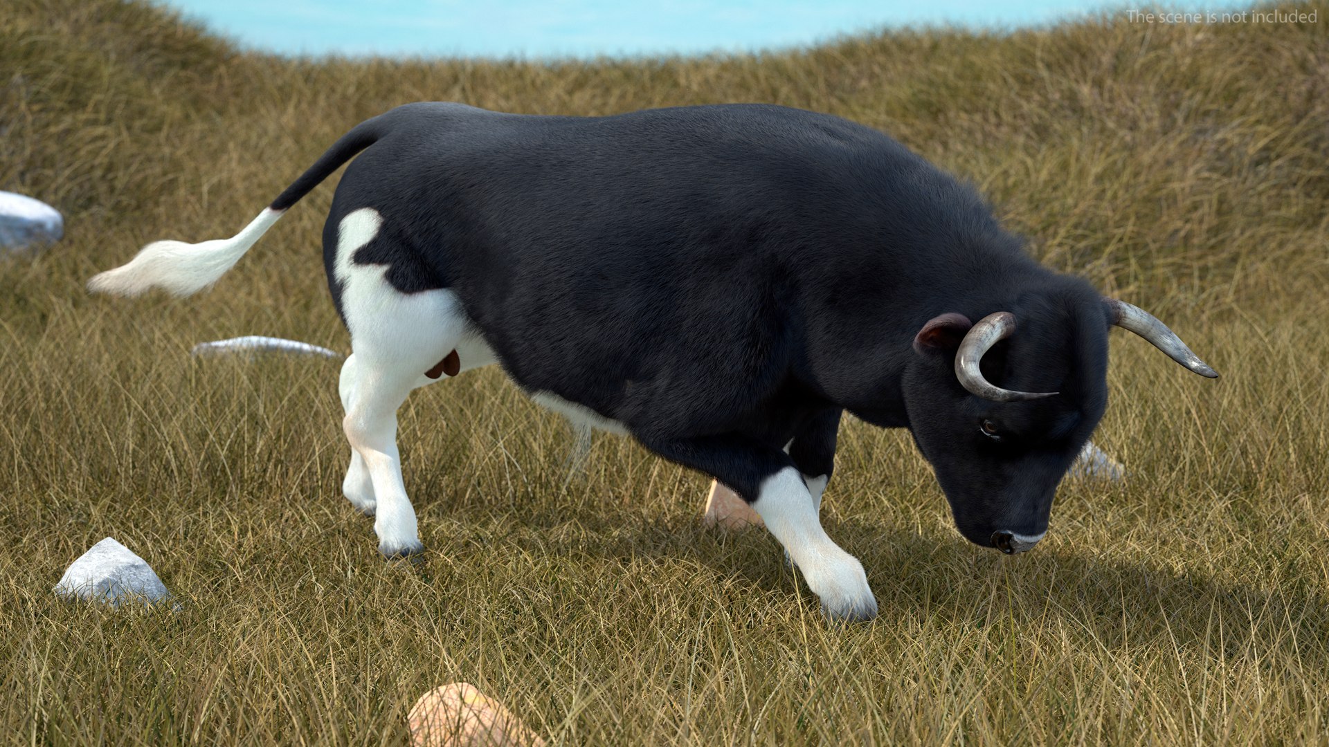 Black Bull Fur Rigged 3D model - TurboSquid 1984592