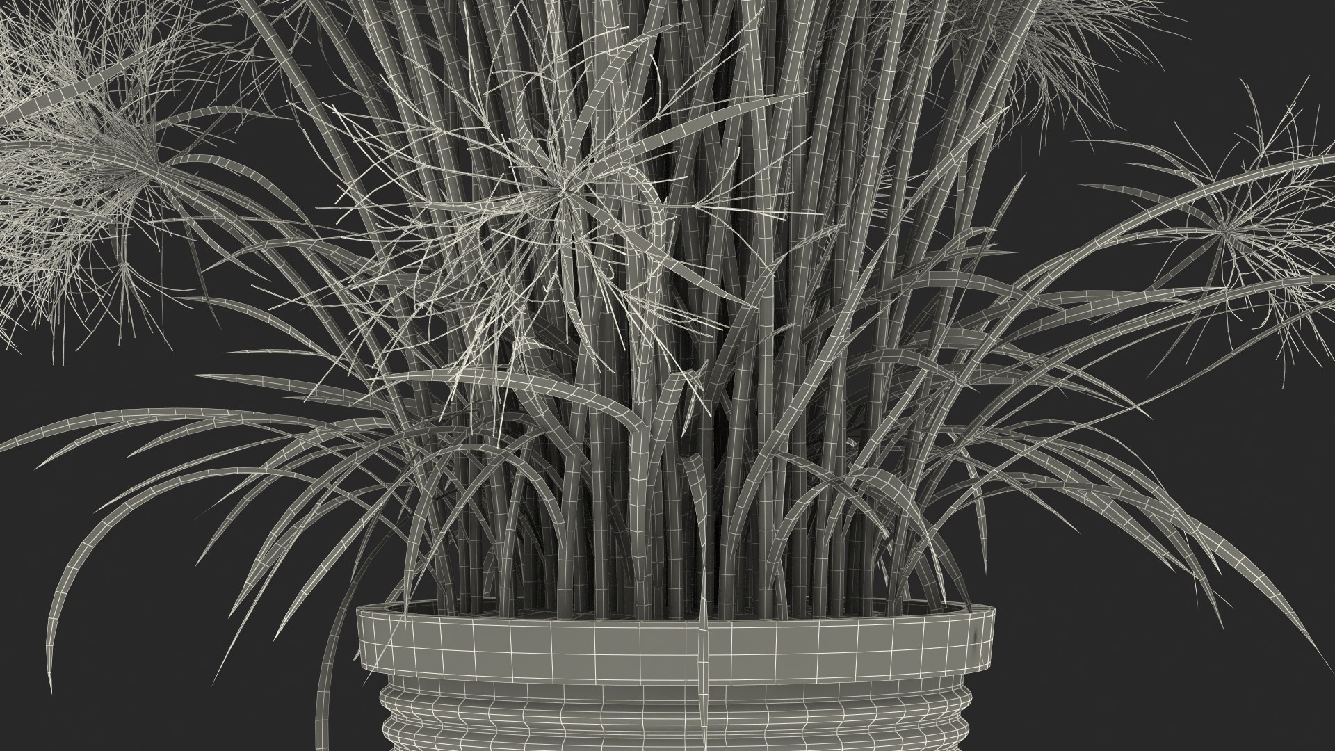 3D Papyrus Plant Pot model - TurboSquid 1896303